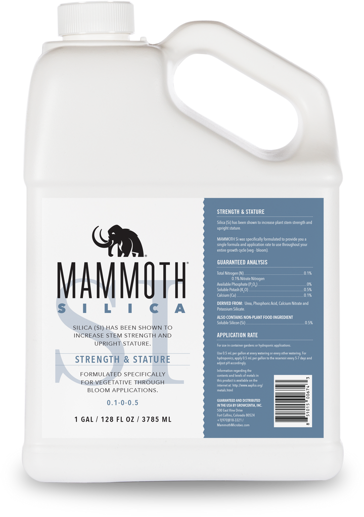 Mammoth Silica 250ml | CityLine Hydro